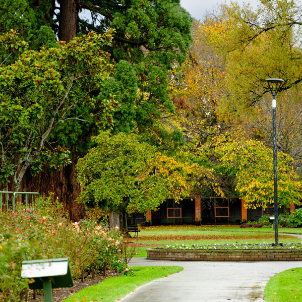 About | Gore Health Ltd | Gore Medical Services